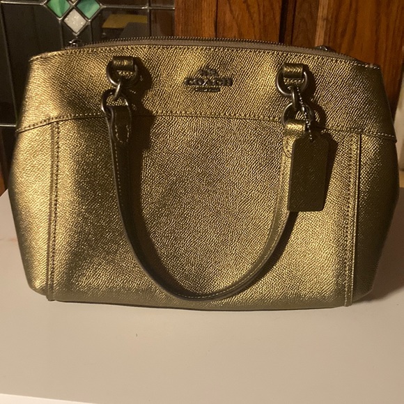 Coach | Bags | Nwt Coach Metallic Fern Lillie Carryall | Poshmark